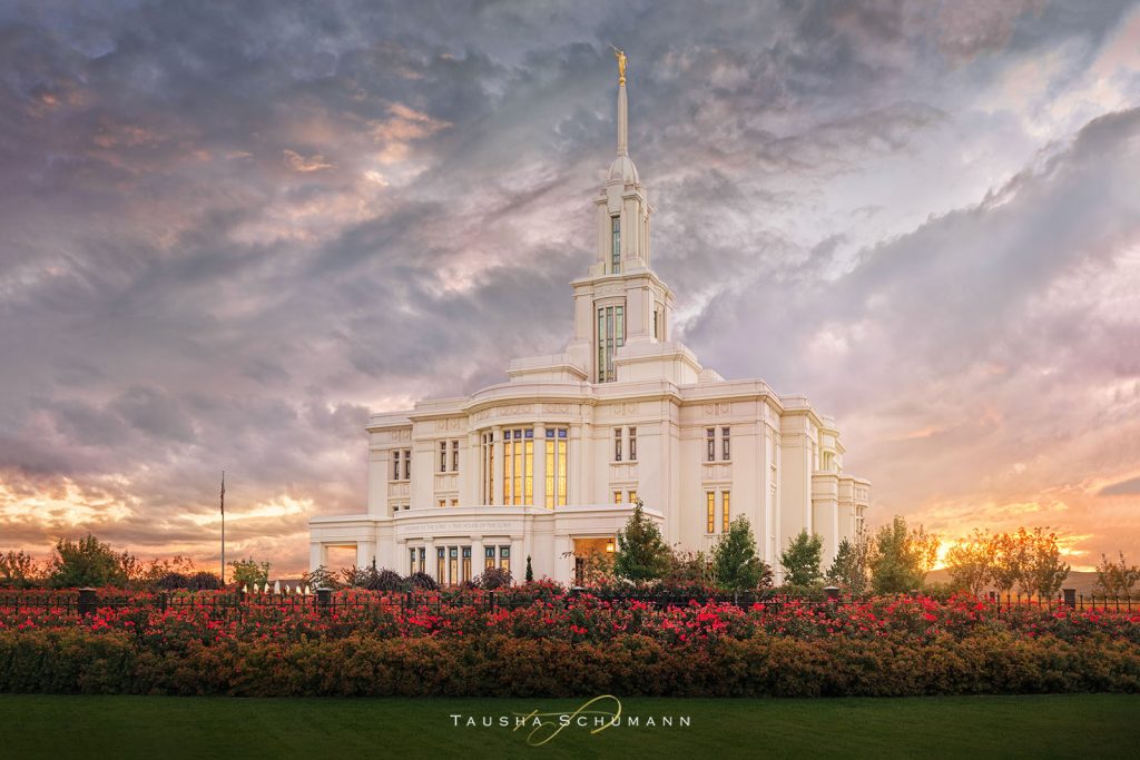 Ready for the Harvest (Panoramic, subtle Vintage Texture) | Temple ...