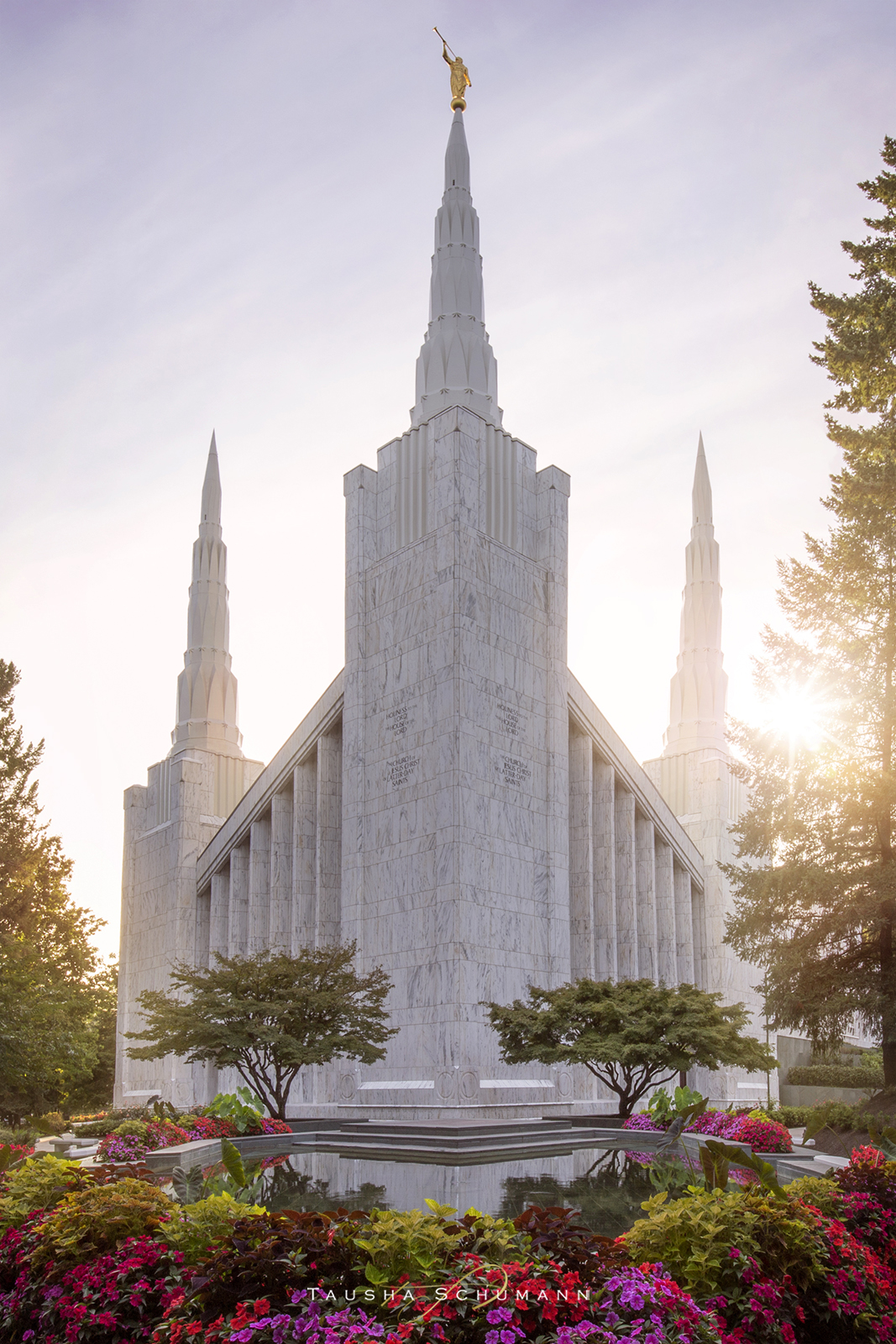 Standard Sizes | Temple Photography
