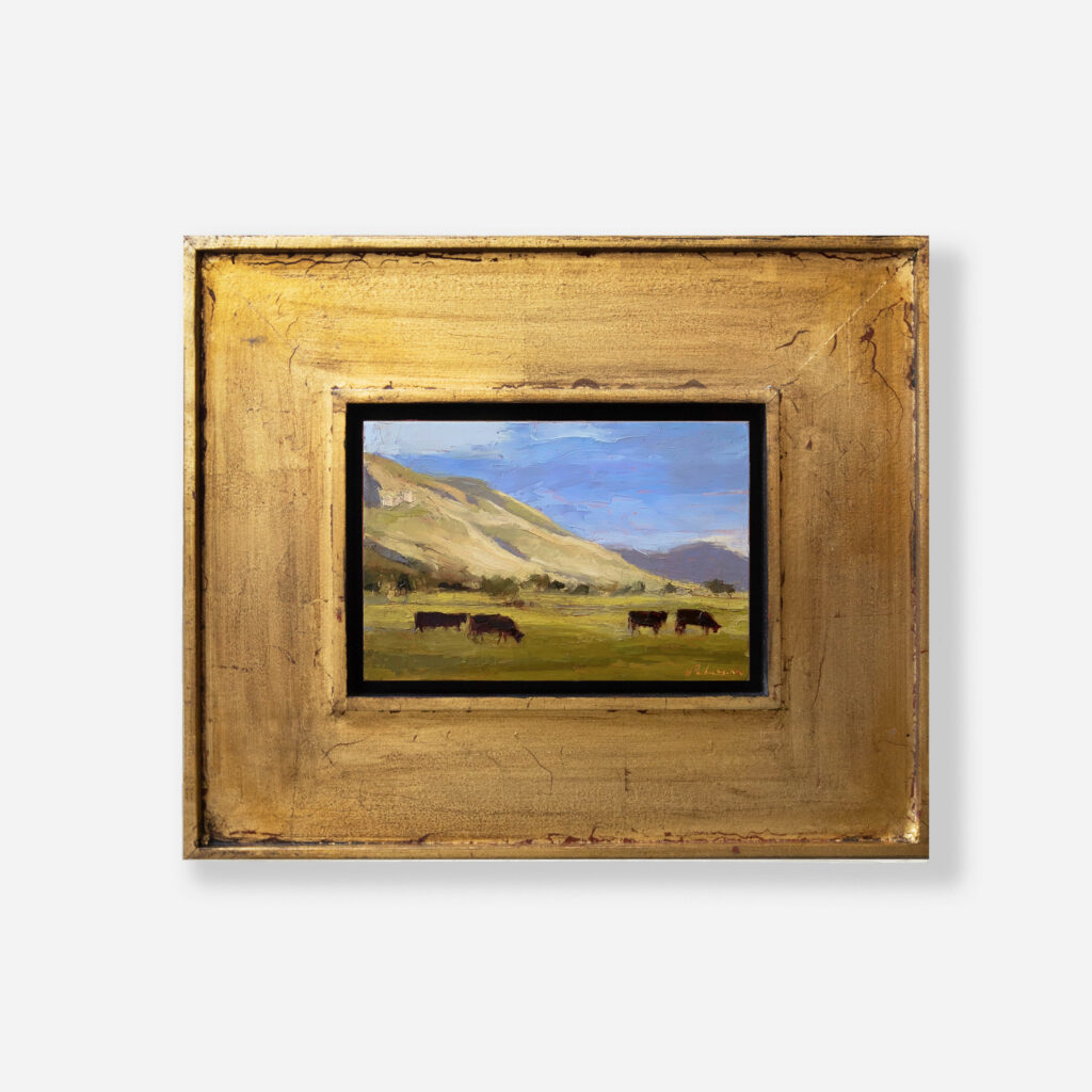 Grazing Cattle | Tausha Schumann Fine Art